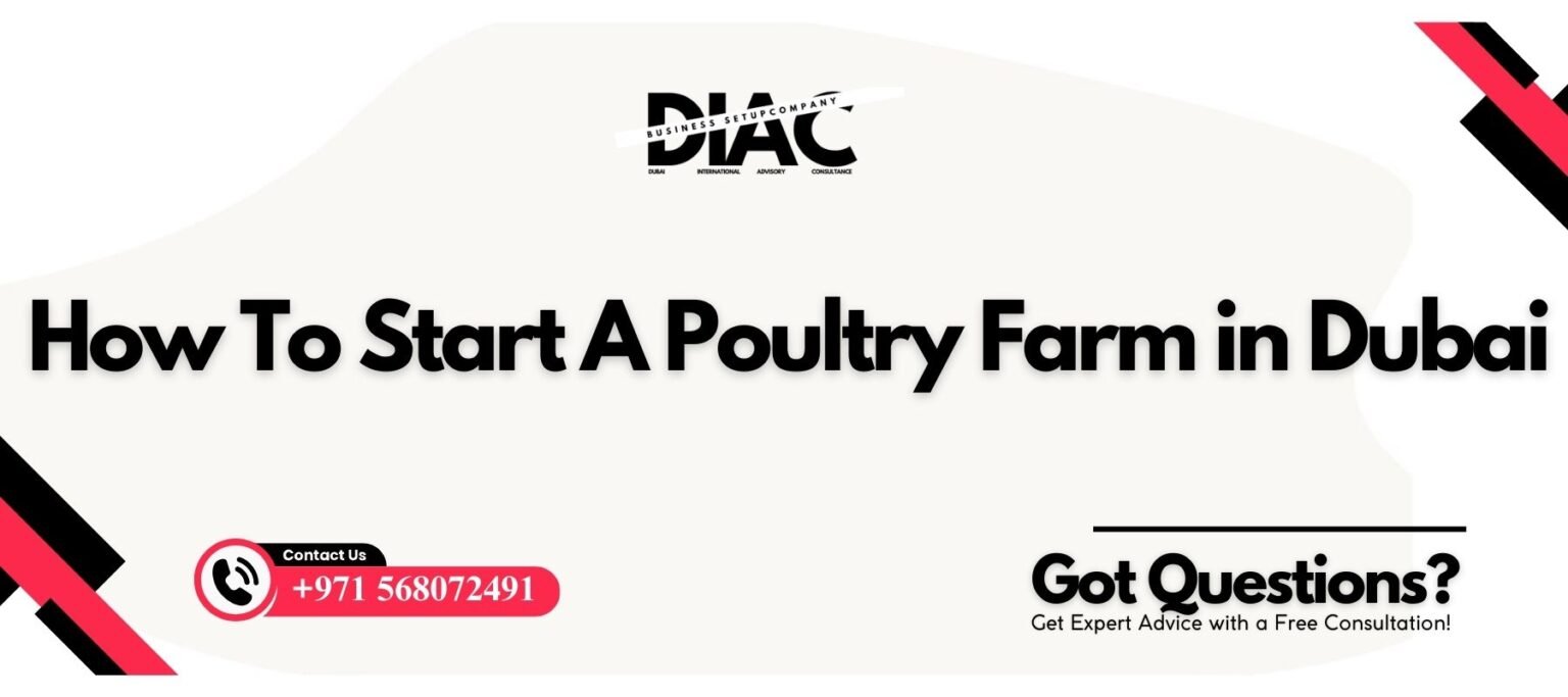 Start a Poultry Farm in Dubai 2026 | License, Cost & Setup Guide